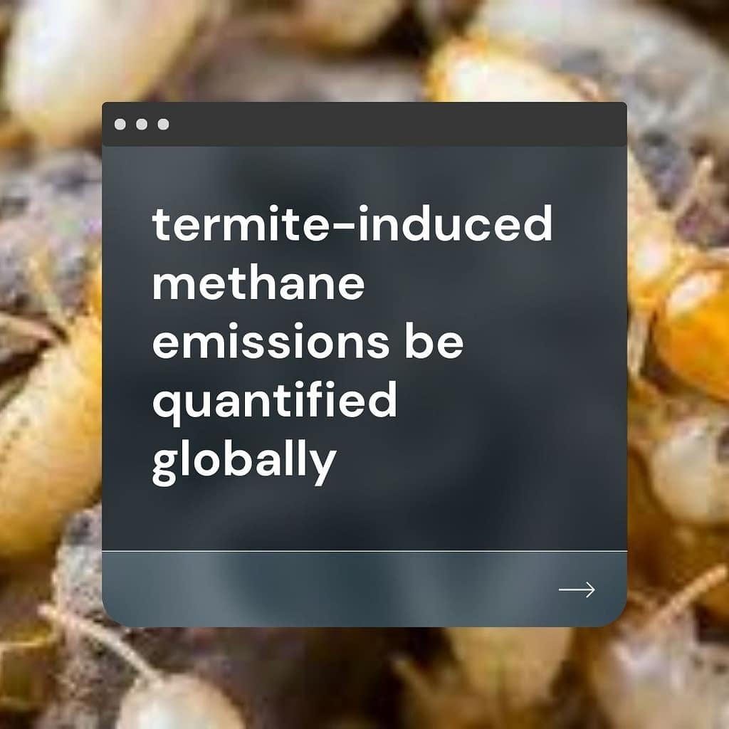 Unveiling The Methane Masters: Termites - Silent Contributors To ...